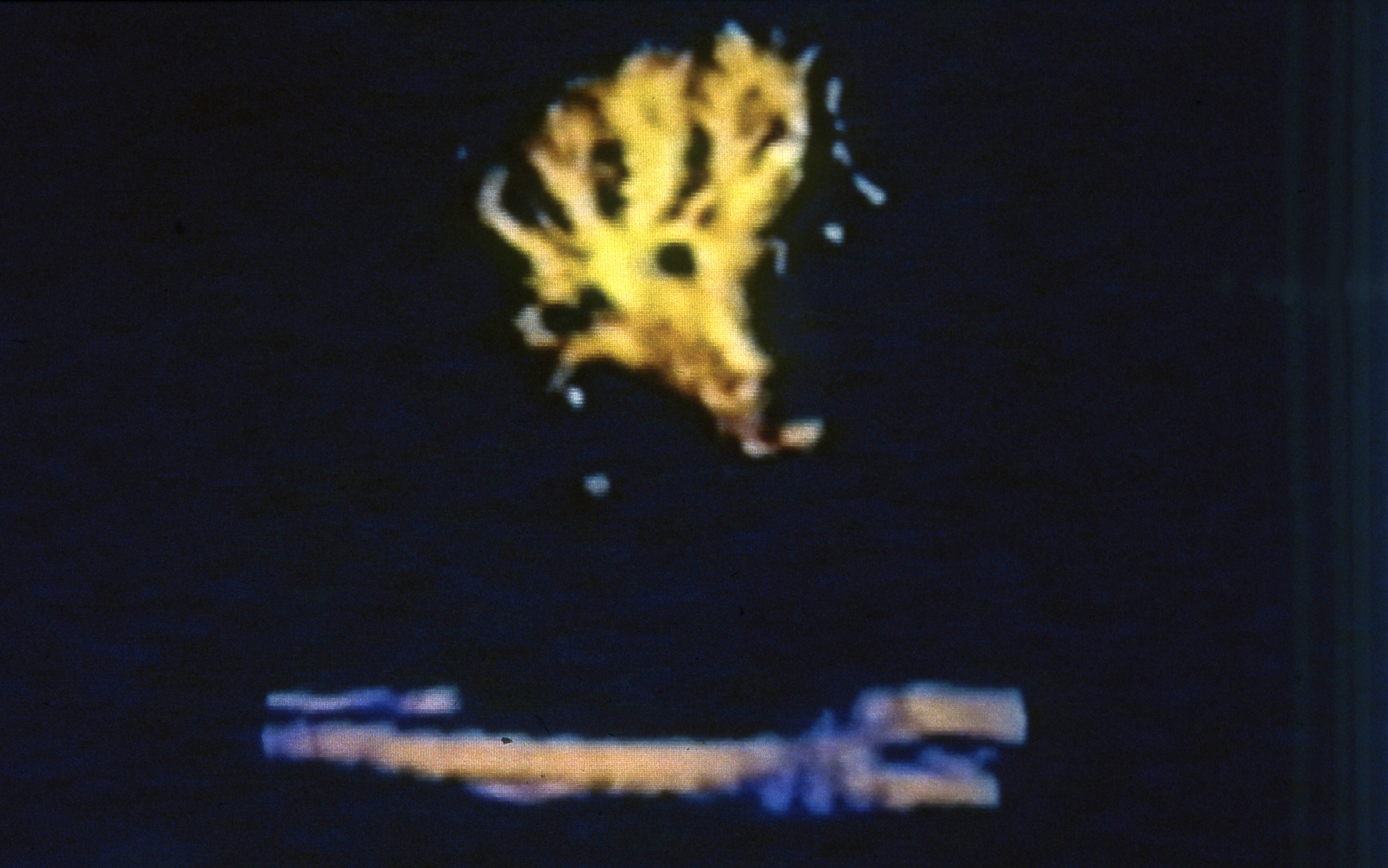 Echo – Wendy Kirkup